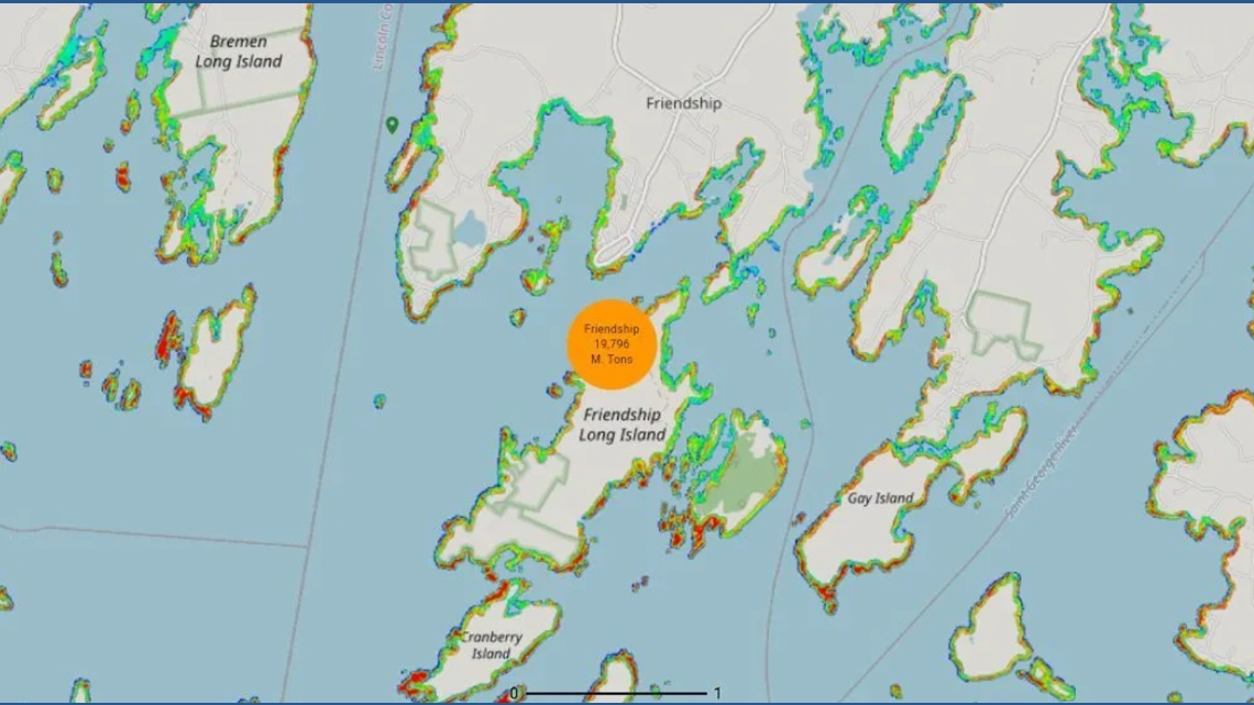 New map brings Maine seaweed forests to the surface | newscentermaine.com