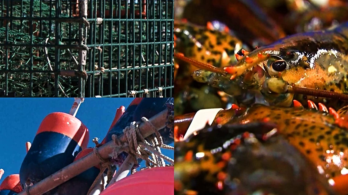 NEWS CENTER Maine's Changing Climate Special 2021 | newscentermaine.com