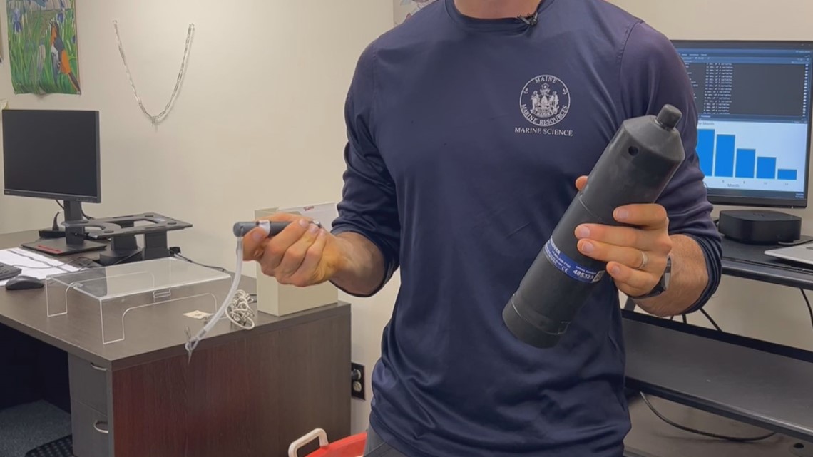 Years after fatal attack, here's how ME researchers track sharks ...