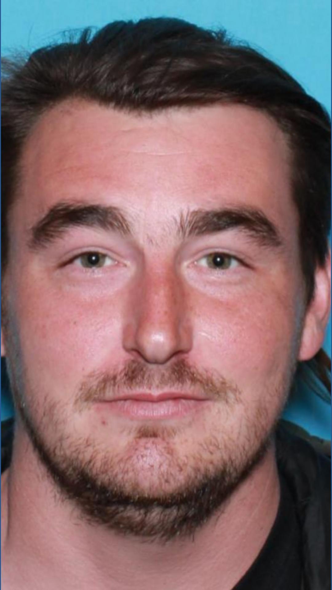 Police search for missing 36-year-old man last seen in Windsor ...