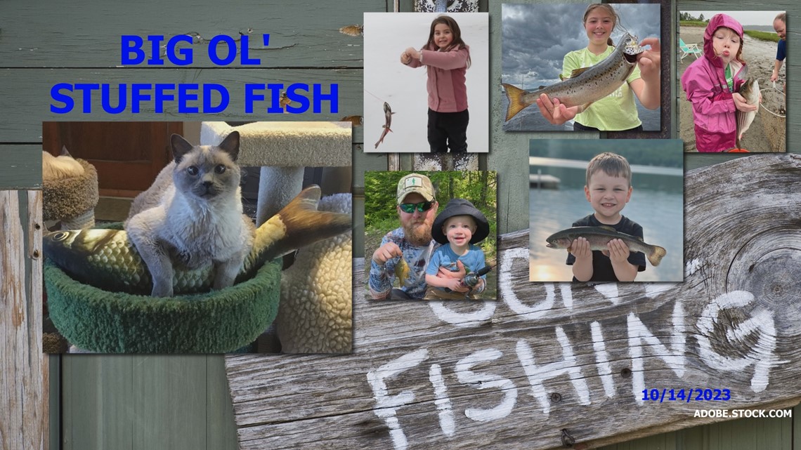 Big Ol' Fish: Big Ol' Stuffed Fish | newscentermaine.com