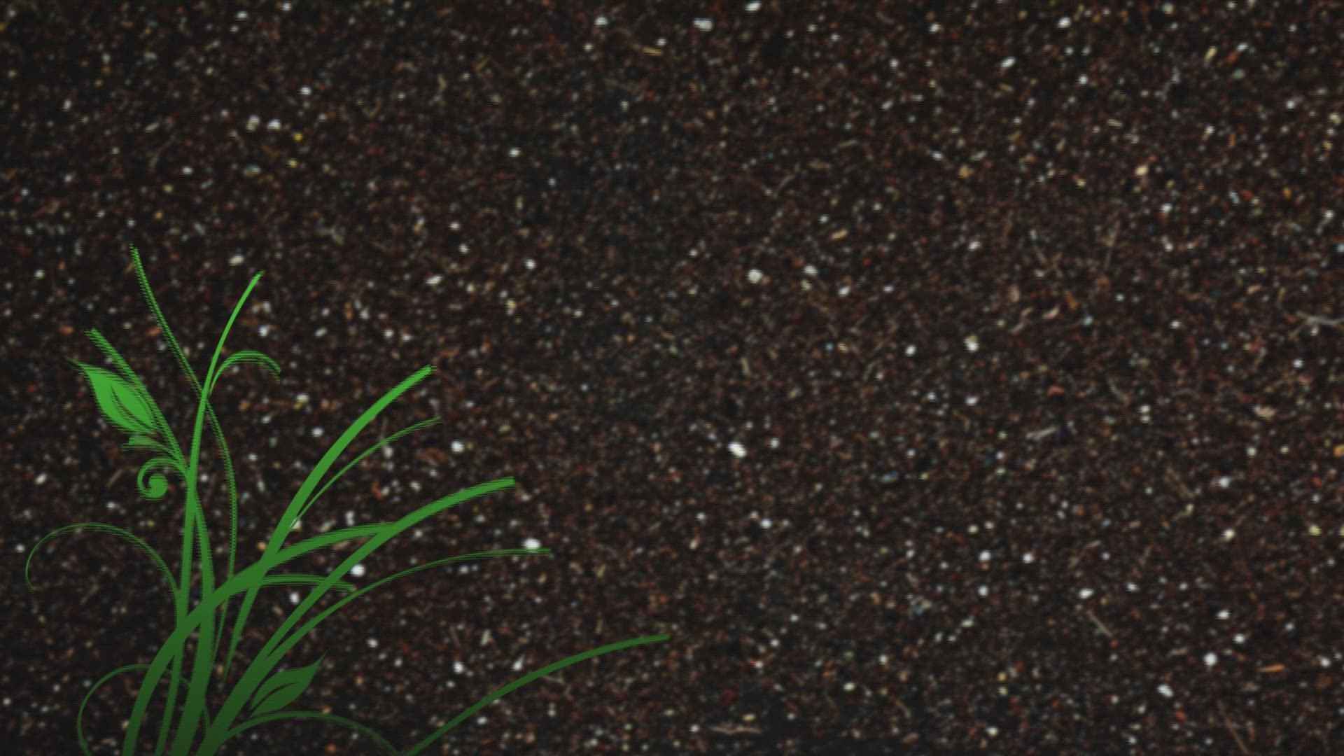 Maine Mysteries: The Murder of Sarah Ware | newscentermaine.com