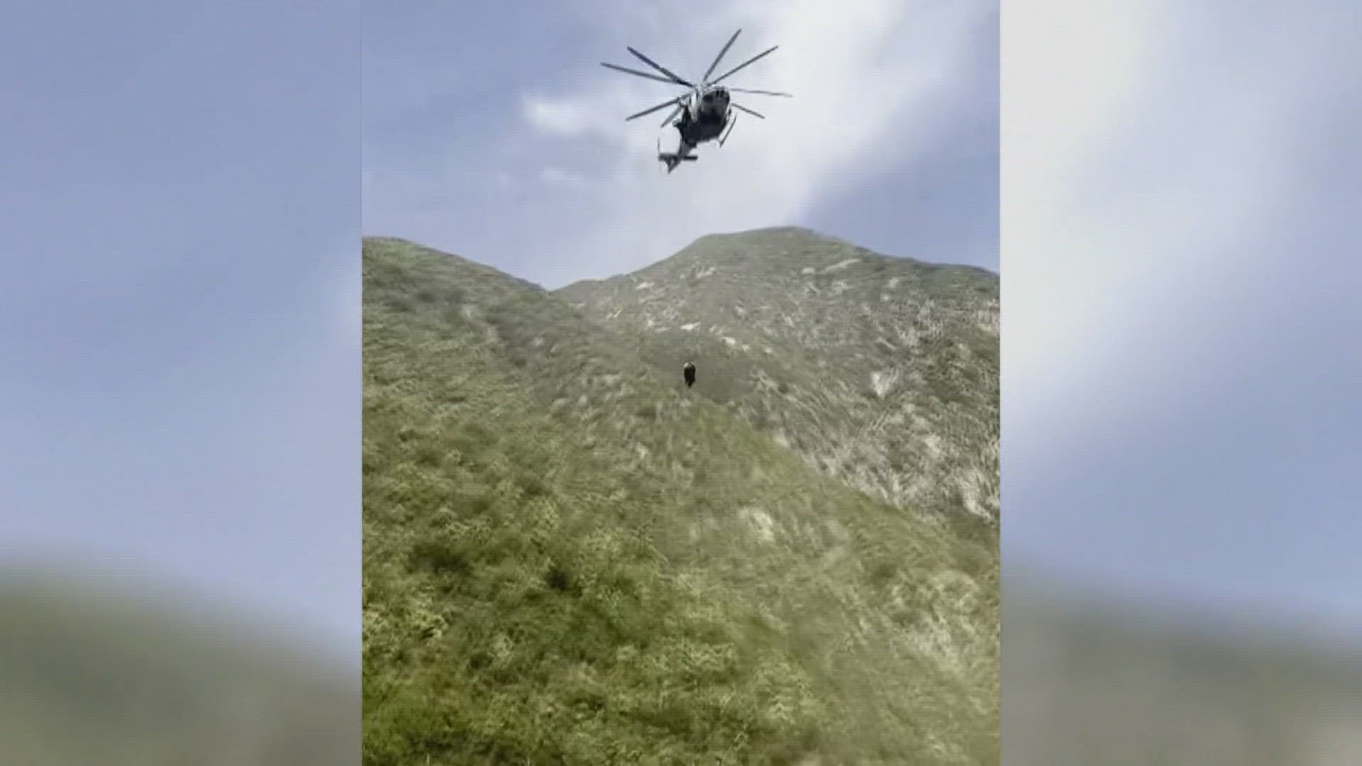 Injured hiker rescued in remote forest outside Los Angeles ...