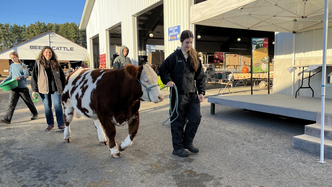 Fryeburg Fair: Maine's largest agricultural fair runs Sept. 27-Oct. 5 ...