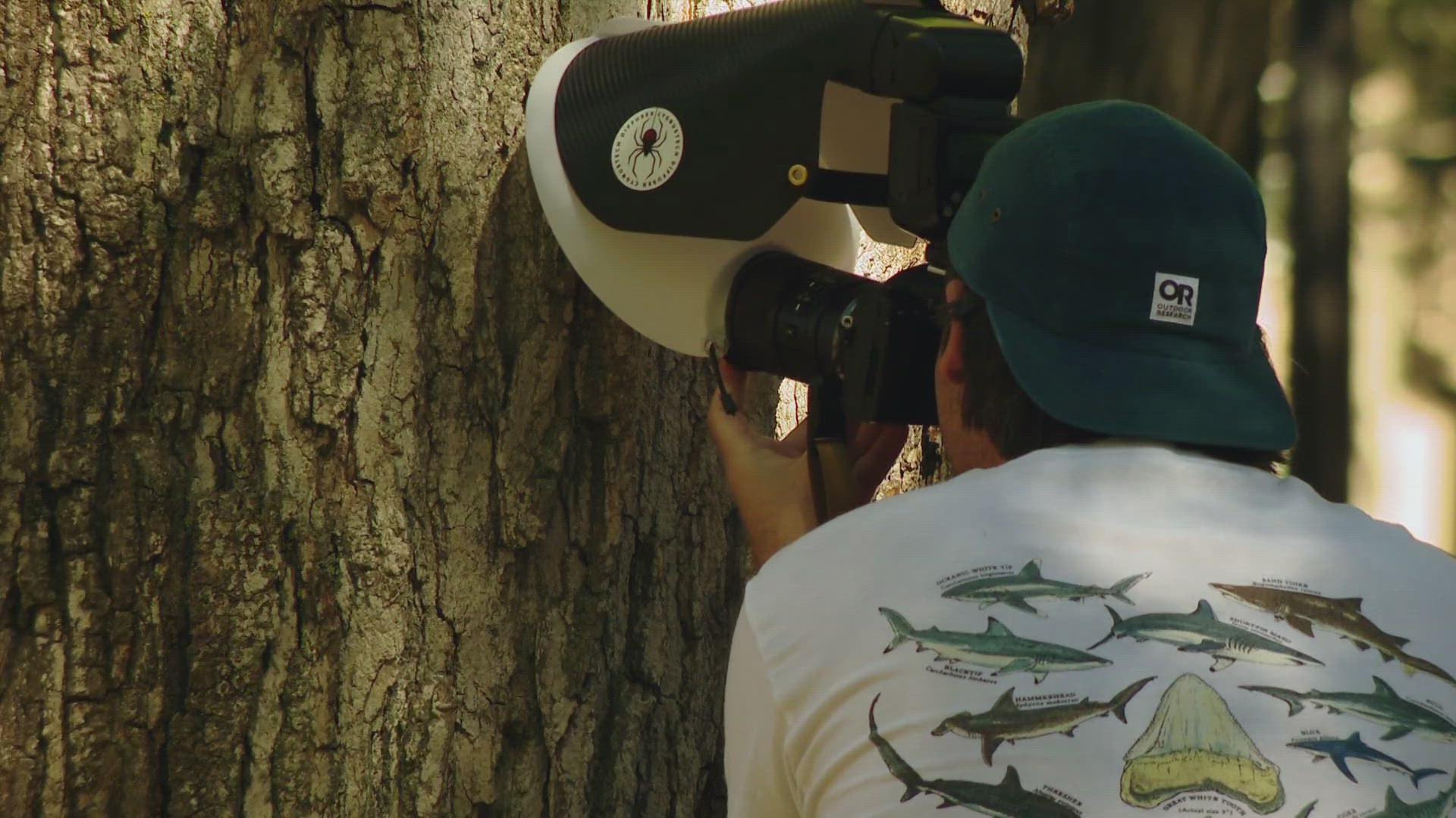 Beal College in Maine changes name to Beal University | newscentermaine.com