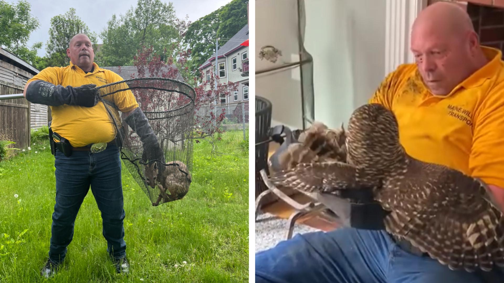 Motorcyclist injured after car allegedly pulls out in front of him in ...