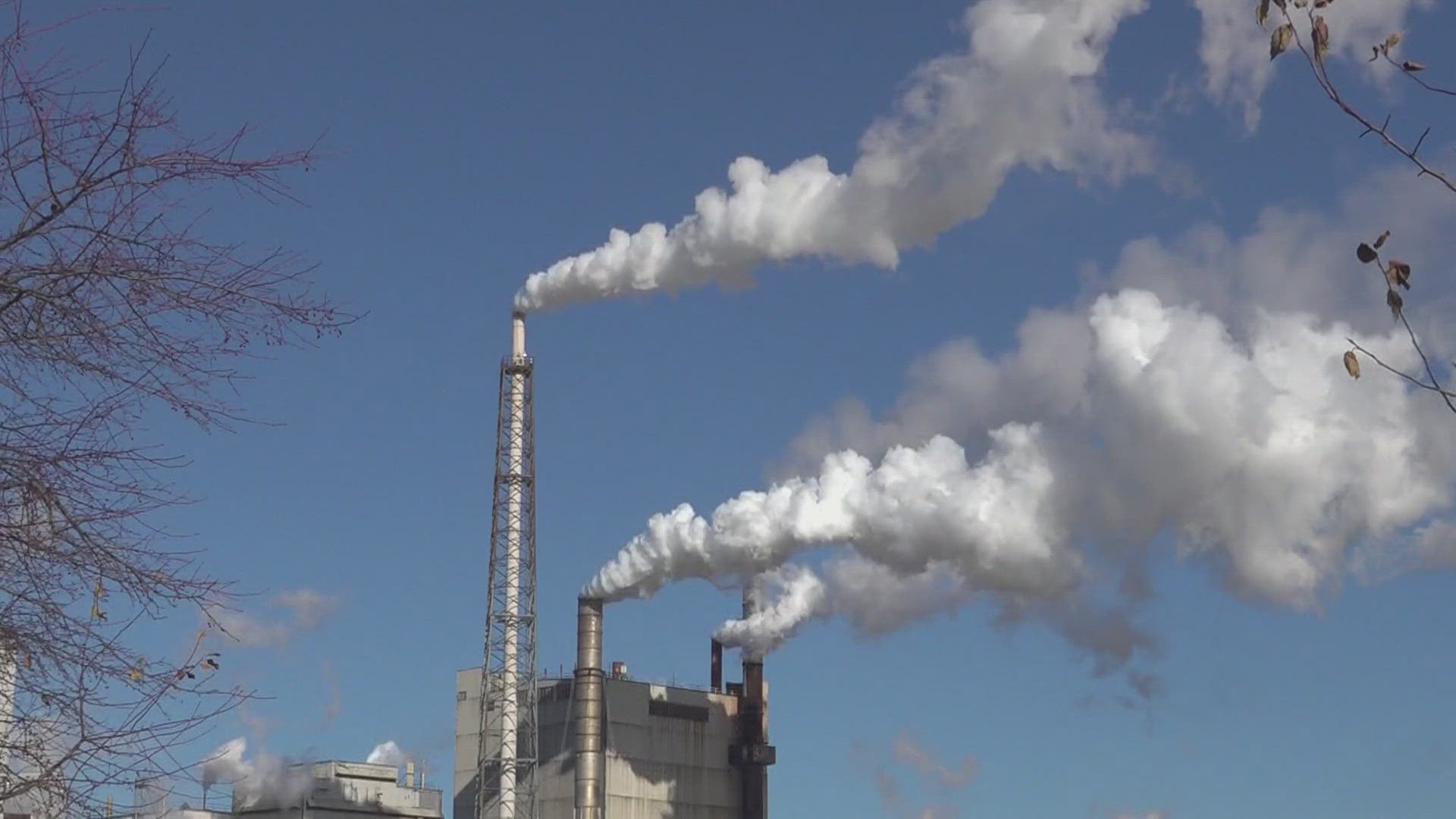 Woodland Pulp to temporarily close and lay off roughly 150 workers ...