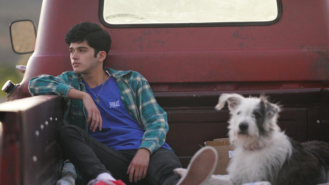 Review: Aristotle and Dante Discover the Secrets of the Universe ...