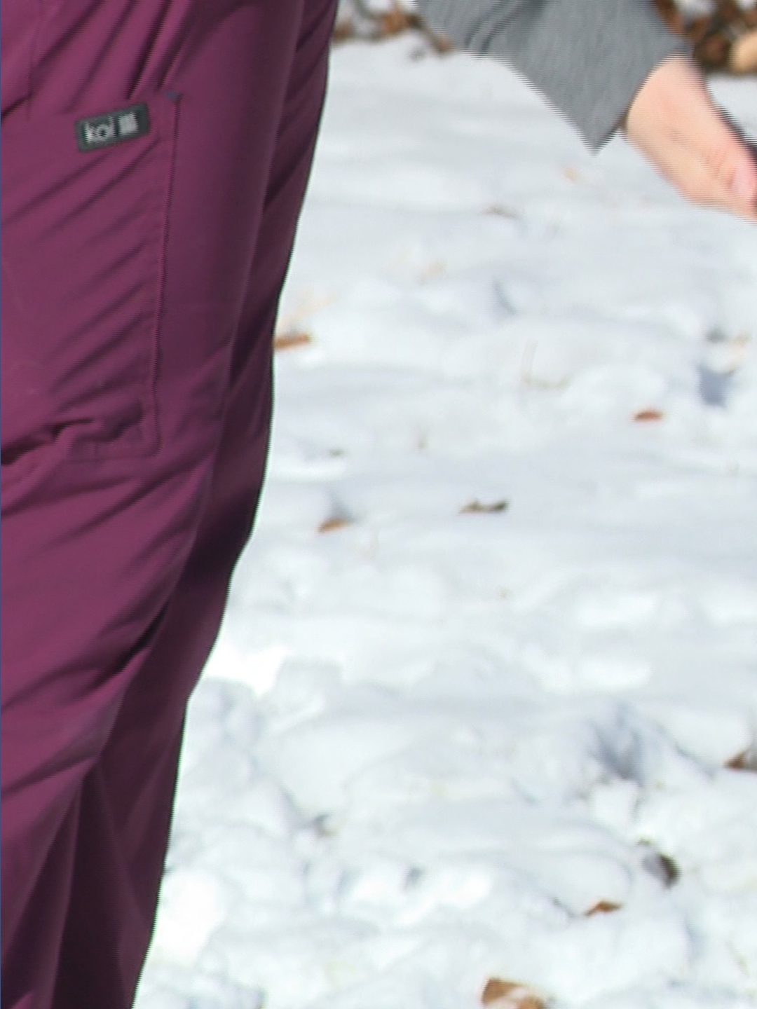 Maine wildlife officials remind hunters of important dates ahead of ...