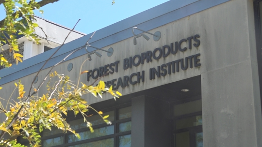 Cooper Flagg height, intangibles provoke praise from Kevin Durant ...