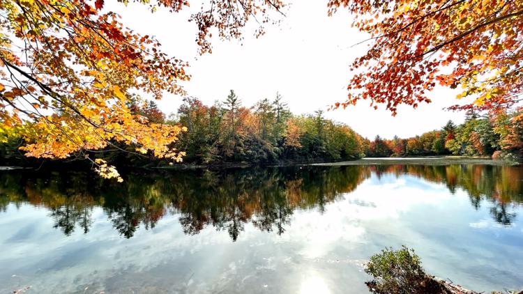 Maine foliage conditions reaching peak in latest foliage report ...