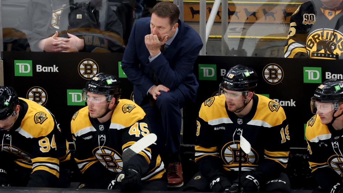 Maine to start issuing pine tree license plate design May 1 ...