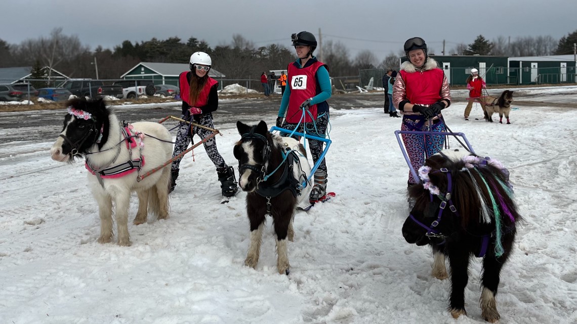 Skijoring Triple Crown begins with first challenge at Topsham ...