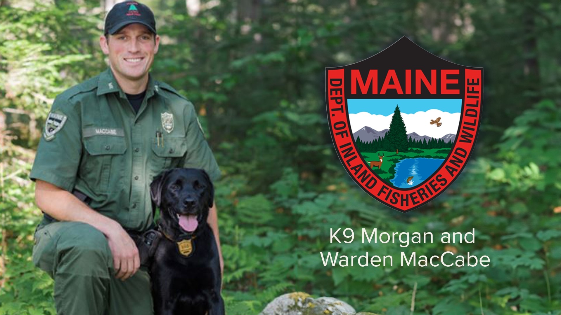 Retired Maine Warden Service K9 Morgan dies at the age of 12 ...