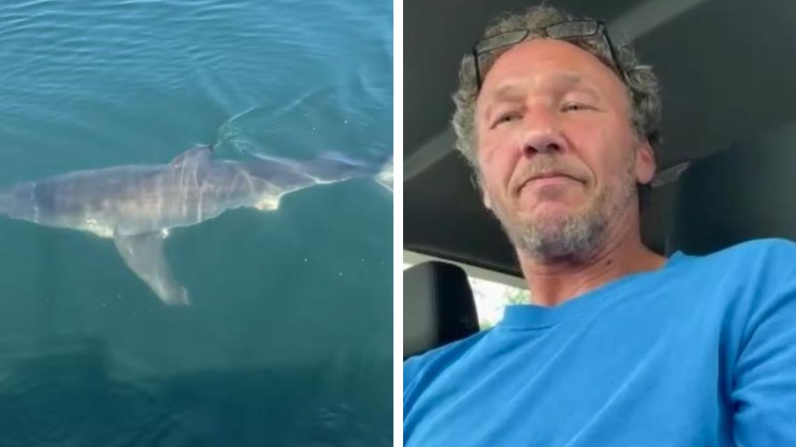 Maine shark sightings 2025: Harpswell lobsterman captures video of ...