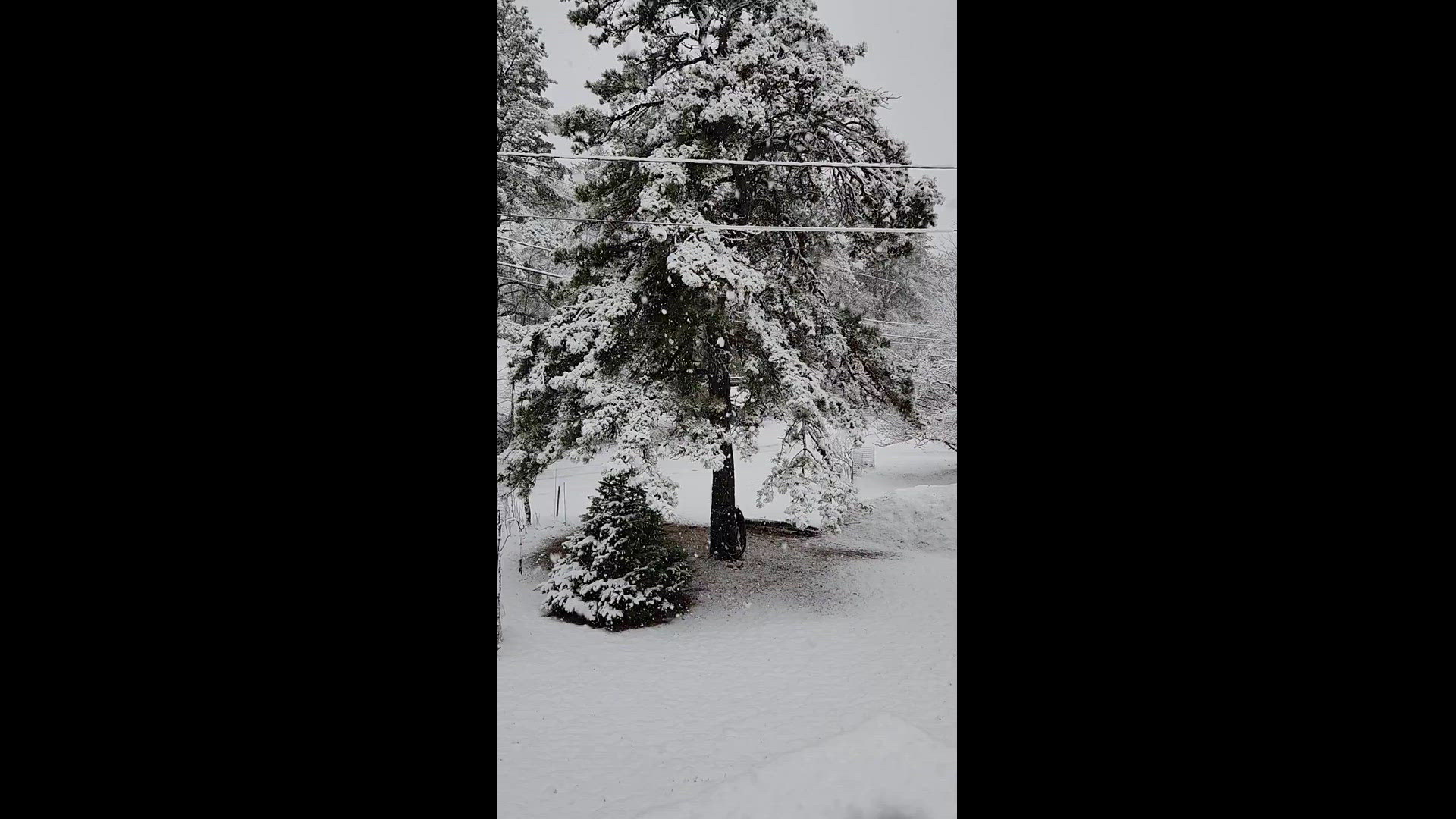 April showers are looking a bit different this year | newscentermaine.com