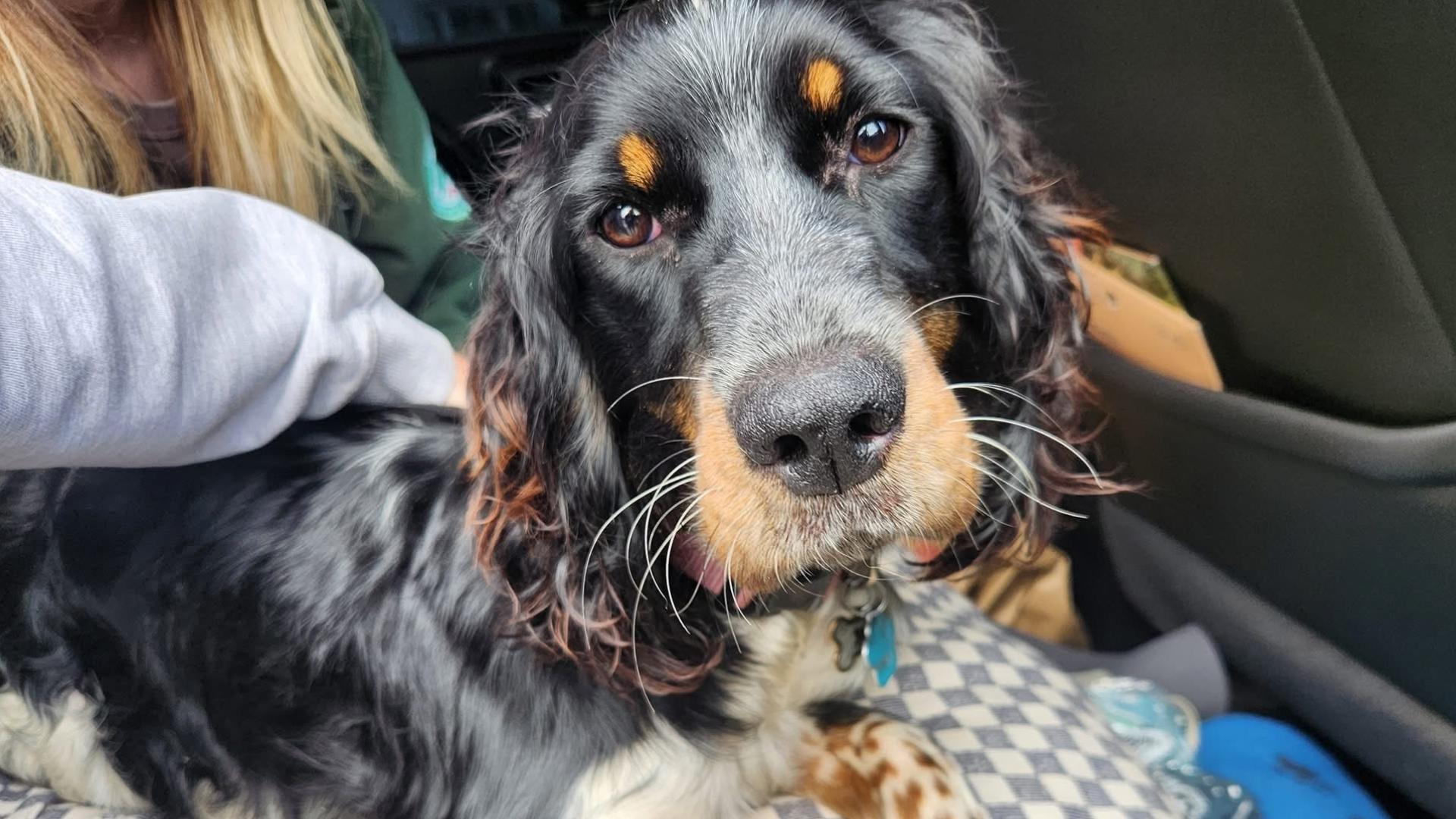 Bangor reflects on Dow Air Force Base closure | newscentermaine.com