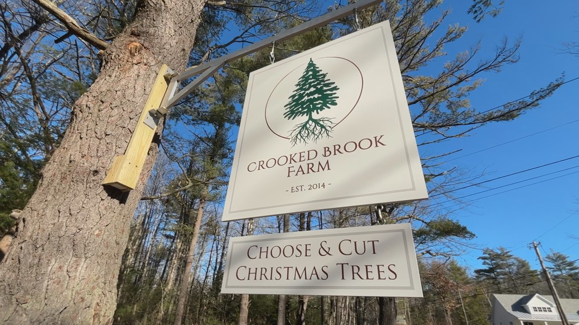 Crooked Brook Farm: Christmas tree farm opens in Wells ...
