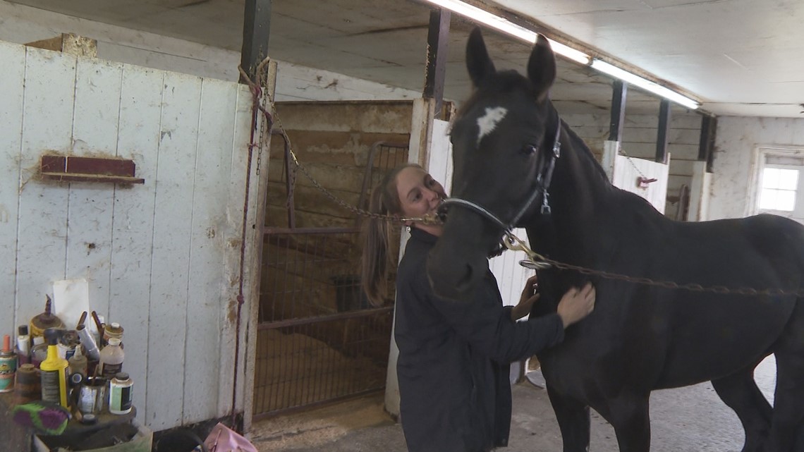Horse becomes 'Saving Grace' for Maine domestic violence survivor ...