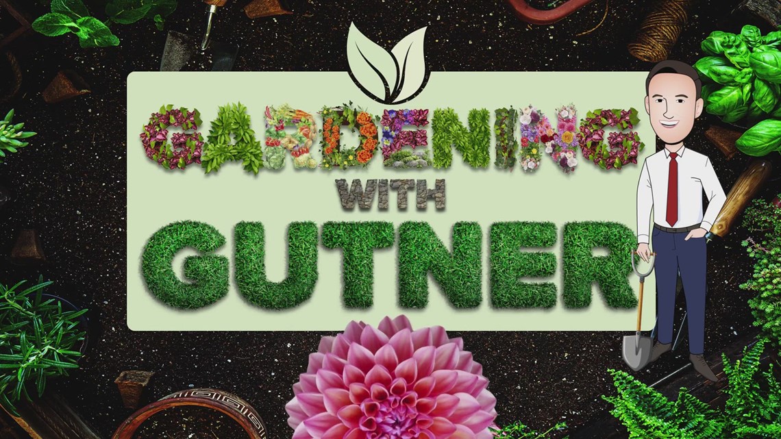 Gardening with Gutner: 2023 trends | newscentermaine.com