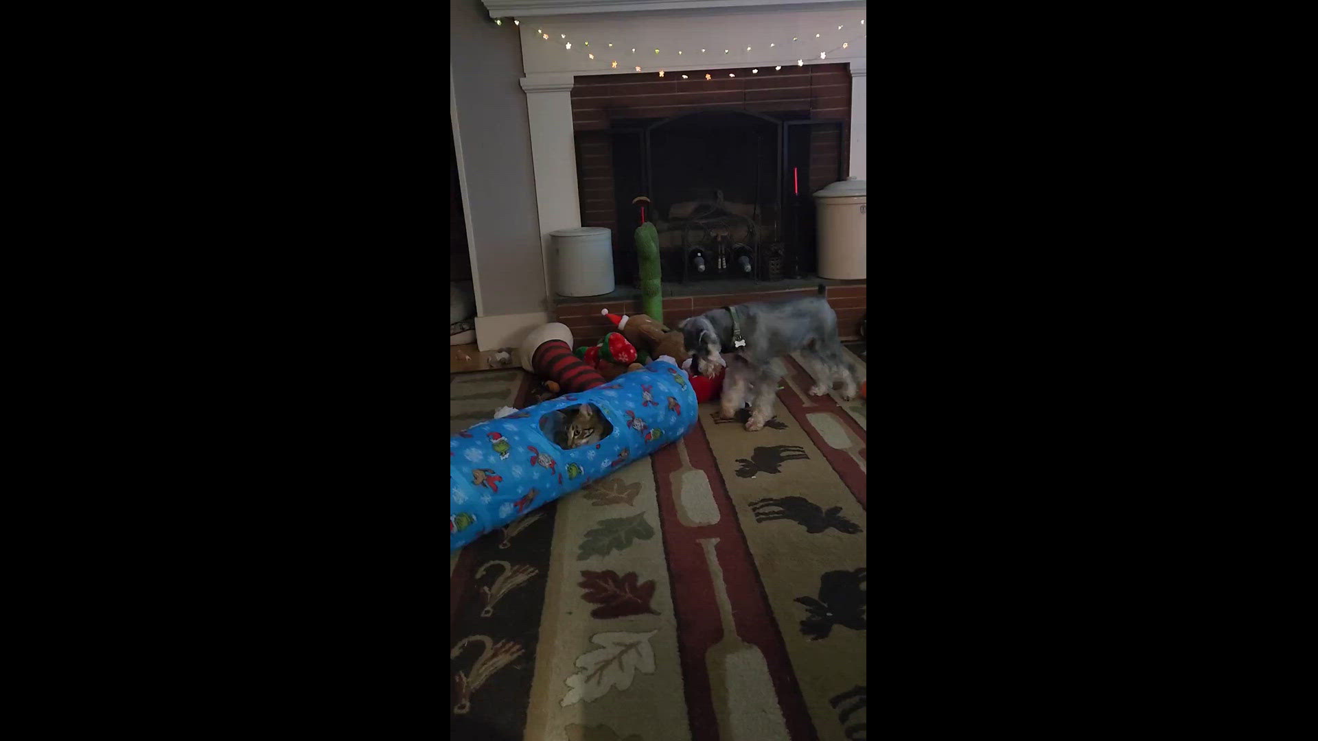 Beans and the Schmoe | newscentermaine.com