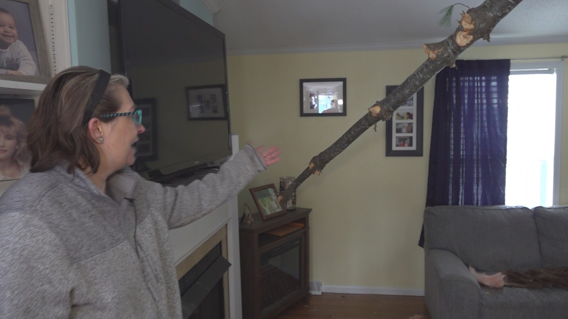 'Like a missile': Tree branch crashes through roof of Brunswick home in ...