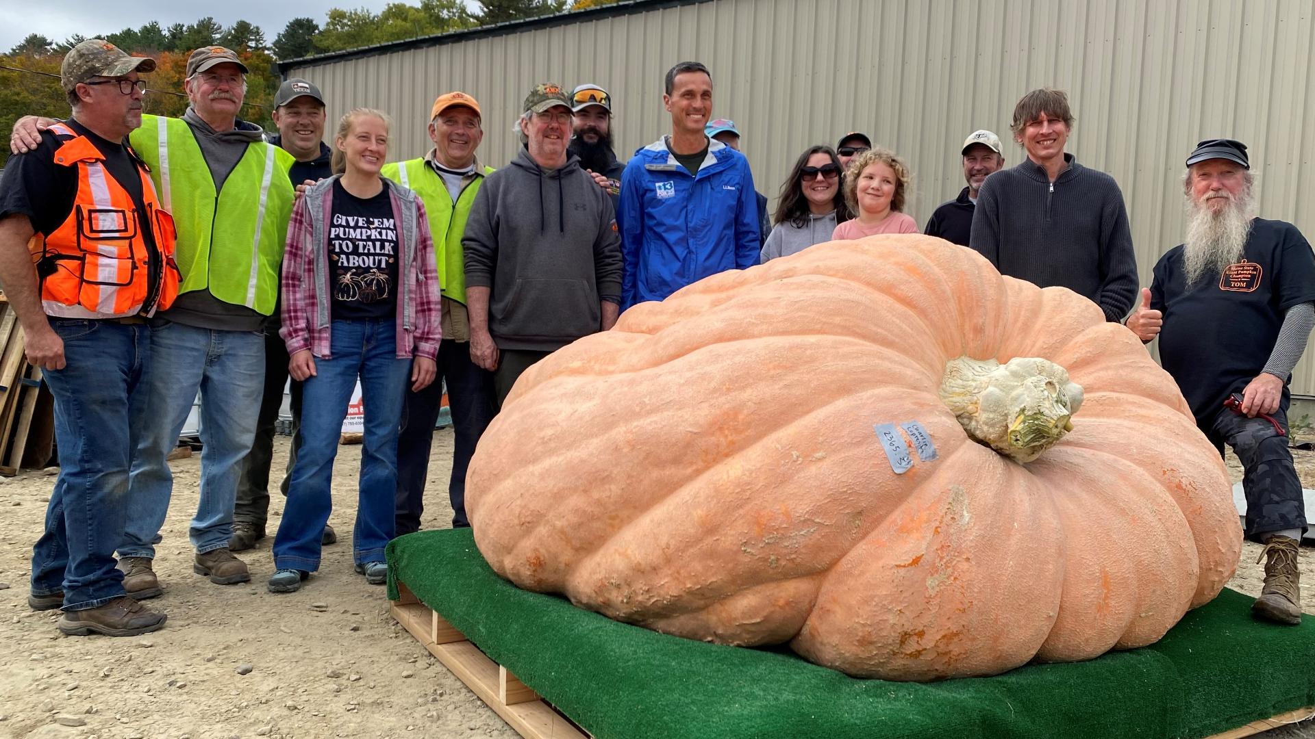 Damariscotta Pumpkinfest & Regatta sees new state pumpkin record ...