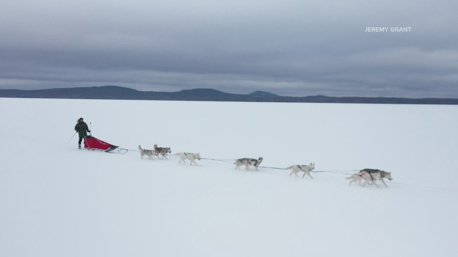 Maine musher prepares for sled dog race across Alaskan wilderness ...