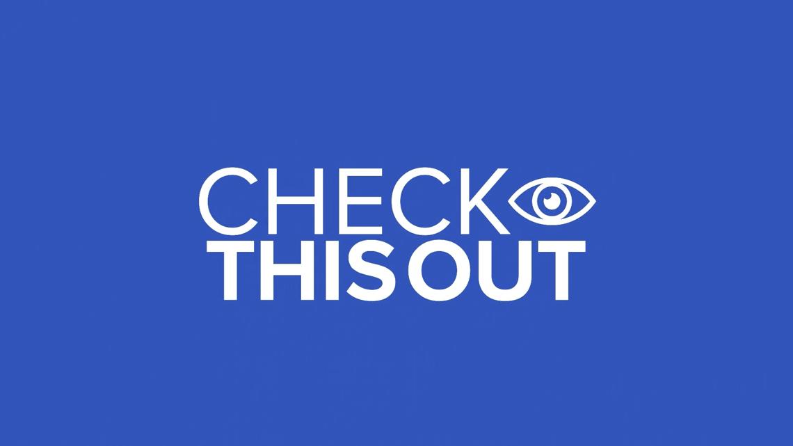 Rescue dog bound for Maine escapes and takes a 25-mile detour ...