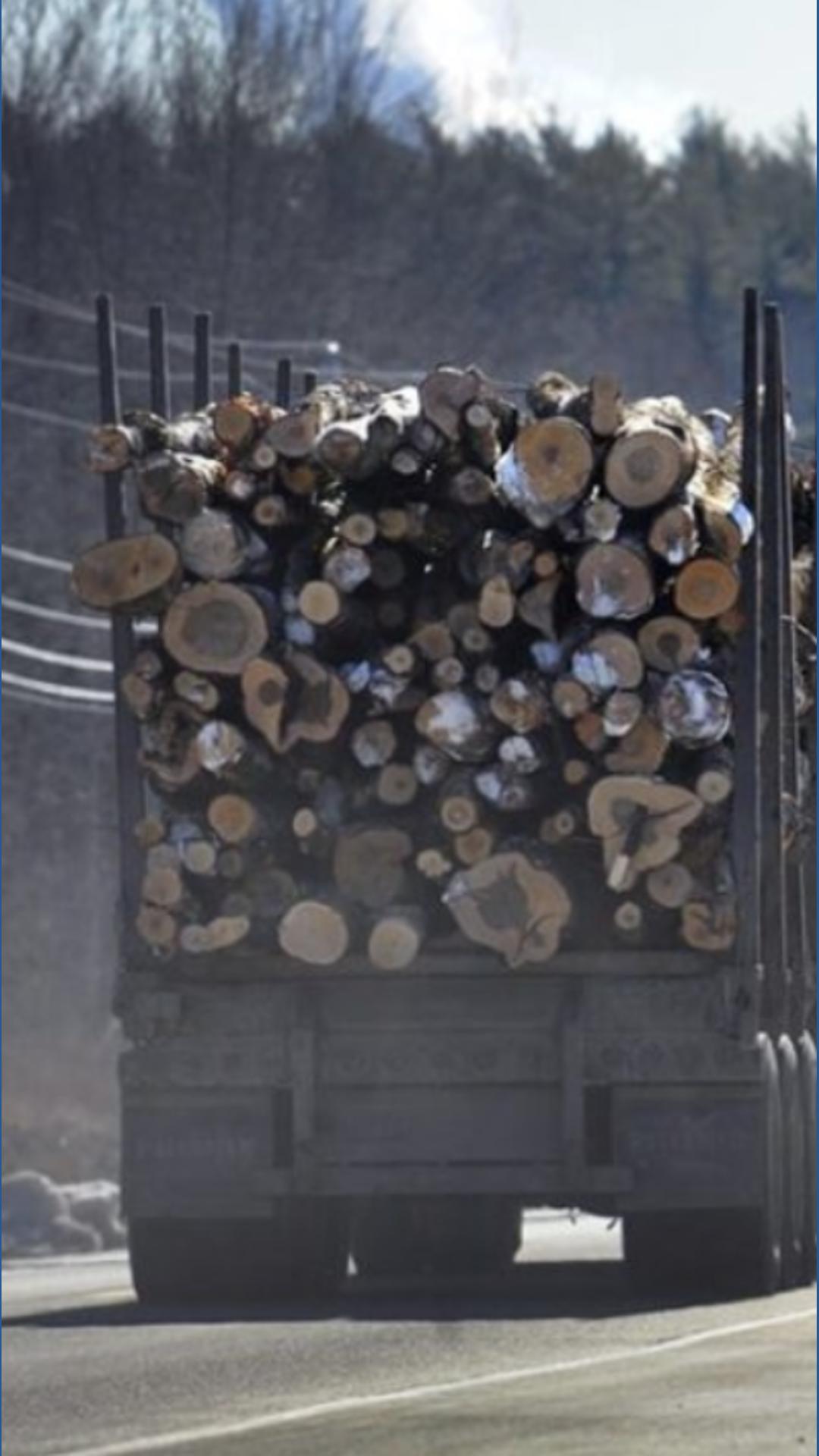 Woodland Pulp pausing mill operations until end of December ...