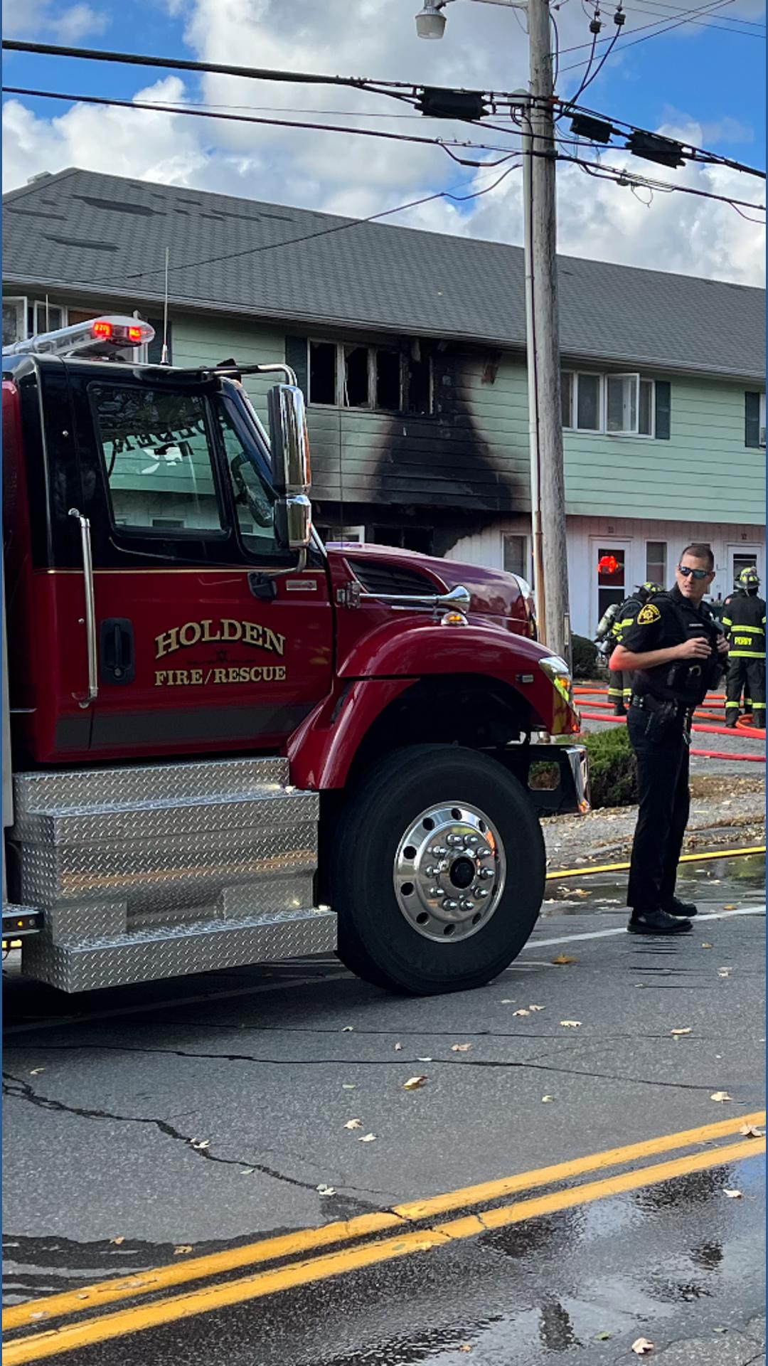 Several cats die in Eddington fire that caused severe damage to ...