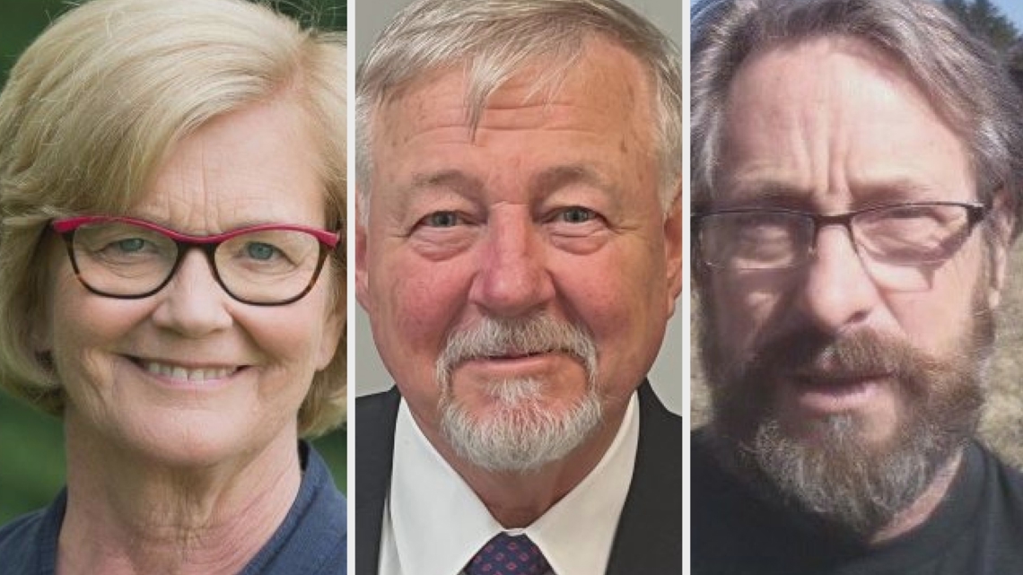 Maine CD1: Who are Chellie Pingree, Ron Russell, Ethan Alcorn ...