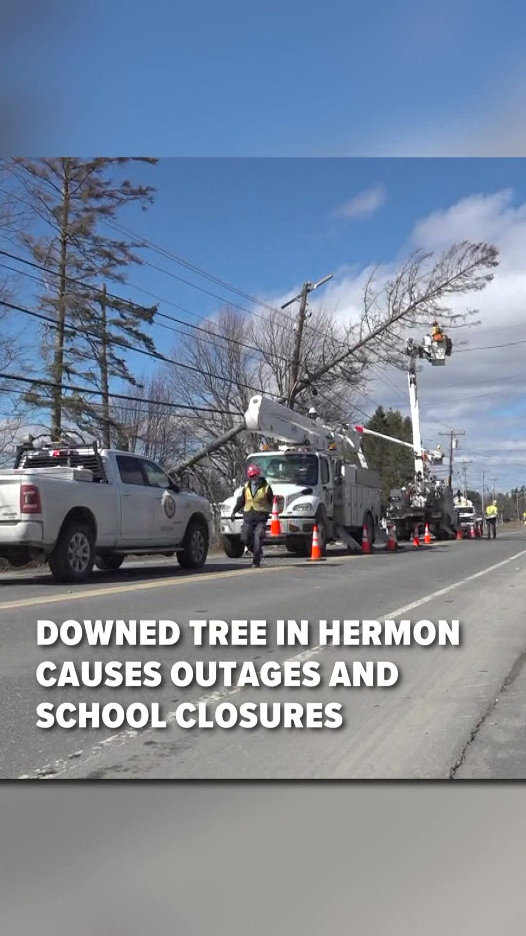 Tree falls on power line in Hermon | newscentermaine.com