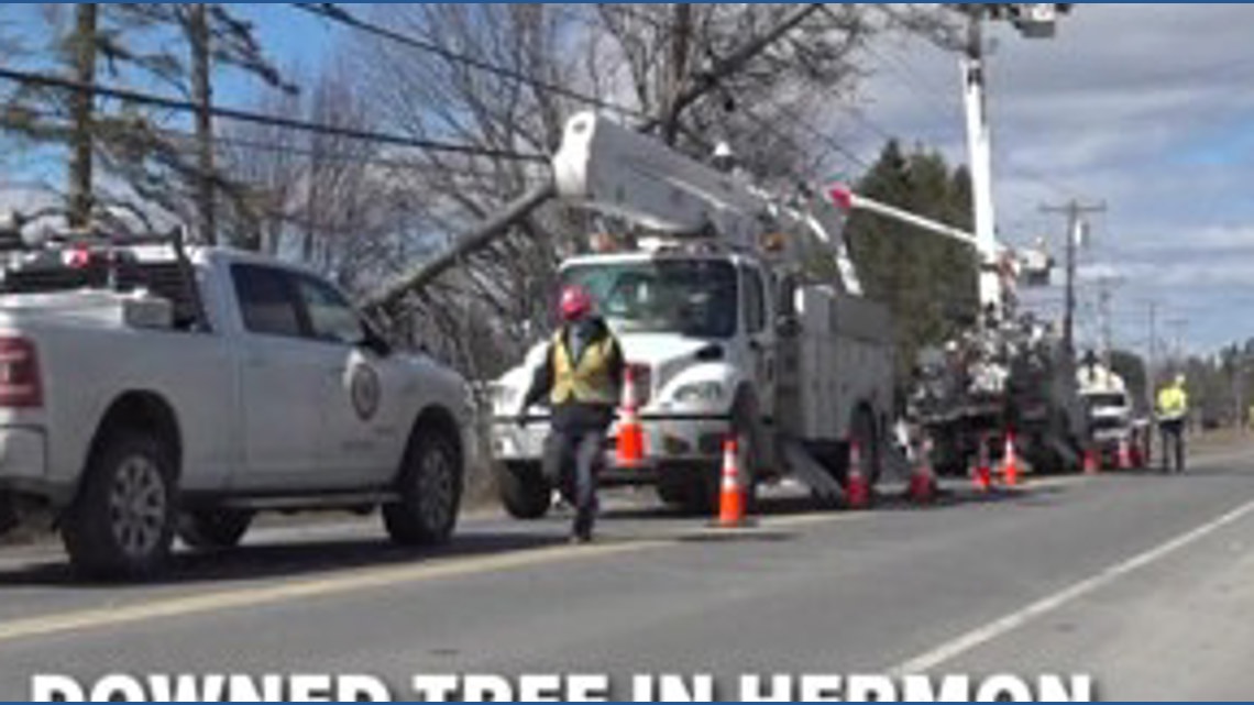 Tree falls on power line in Hermon | newscentermaine.com
