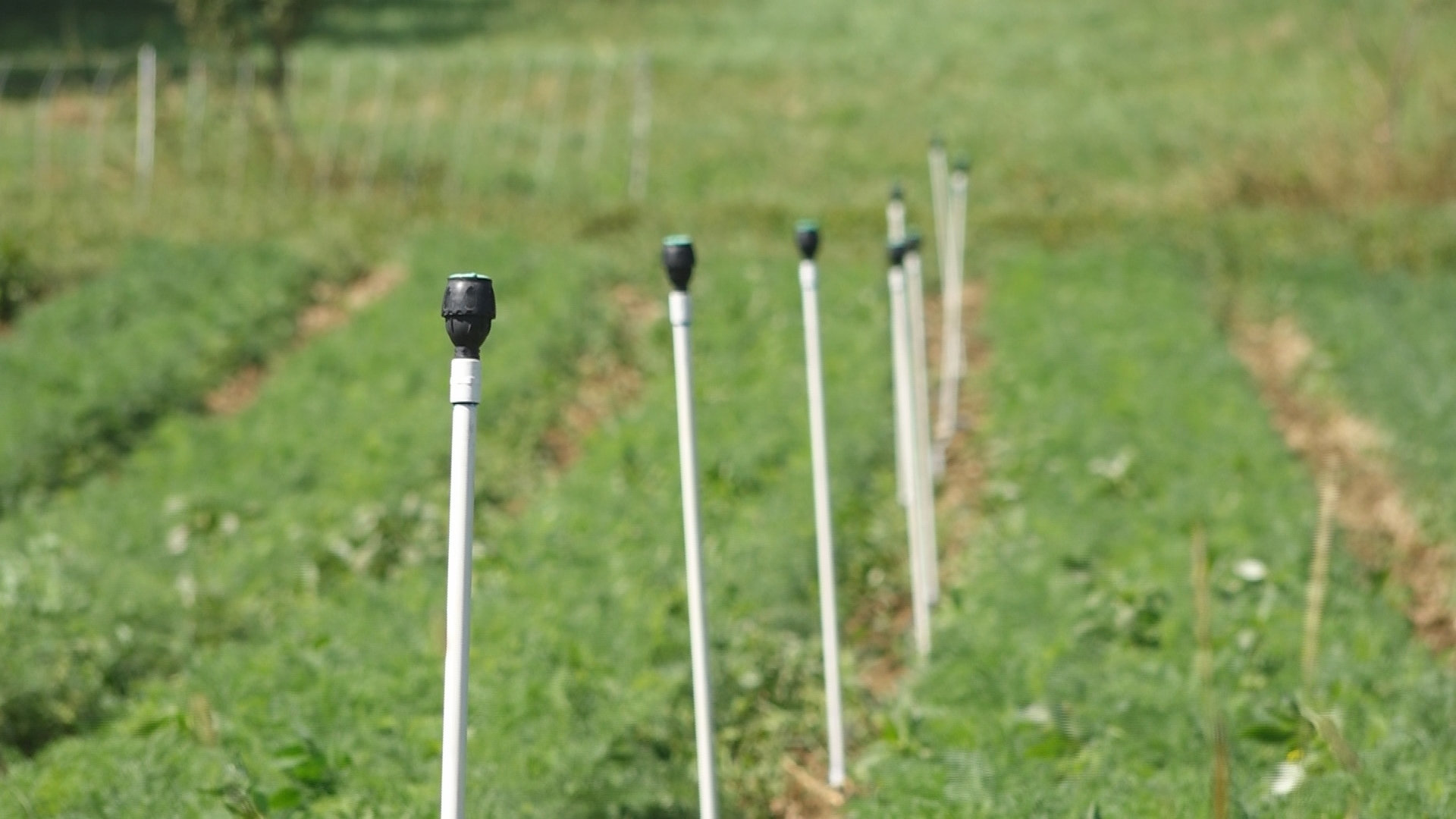 Federal relief programs available amid Maine's 'extreme drought ...