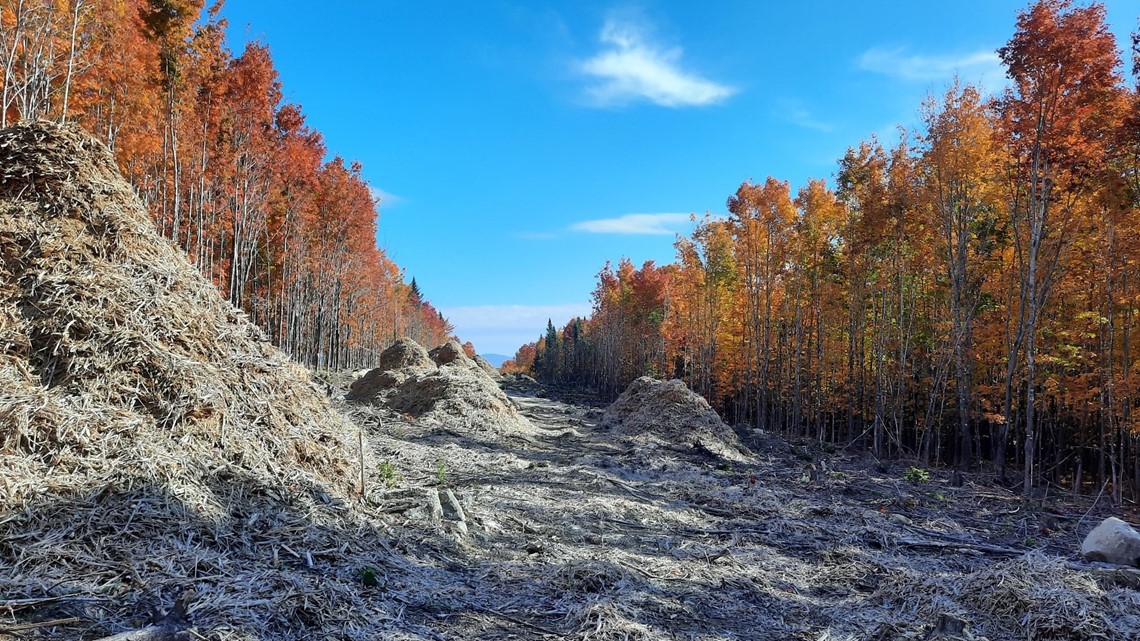 New portion of CMP corridor more than halfway clearcut ...