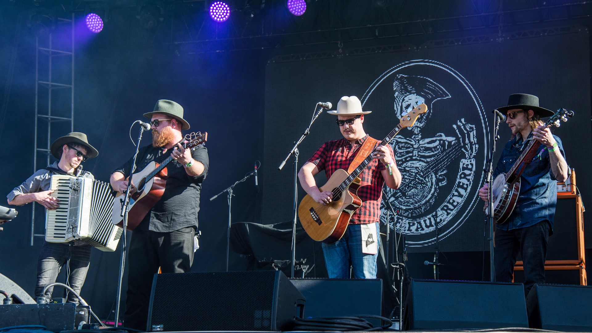 Lynn Archer - Haddock Shepherd's Pie | newscentermaine.com
