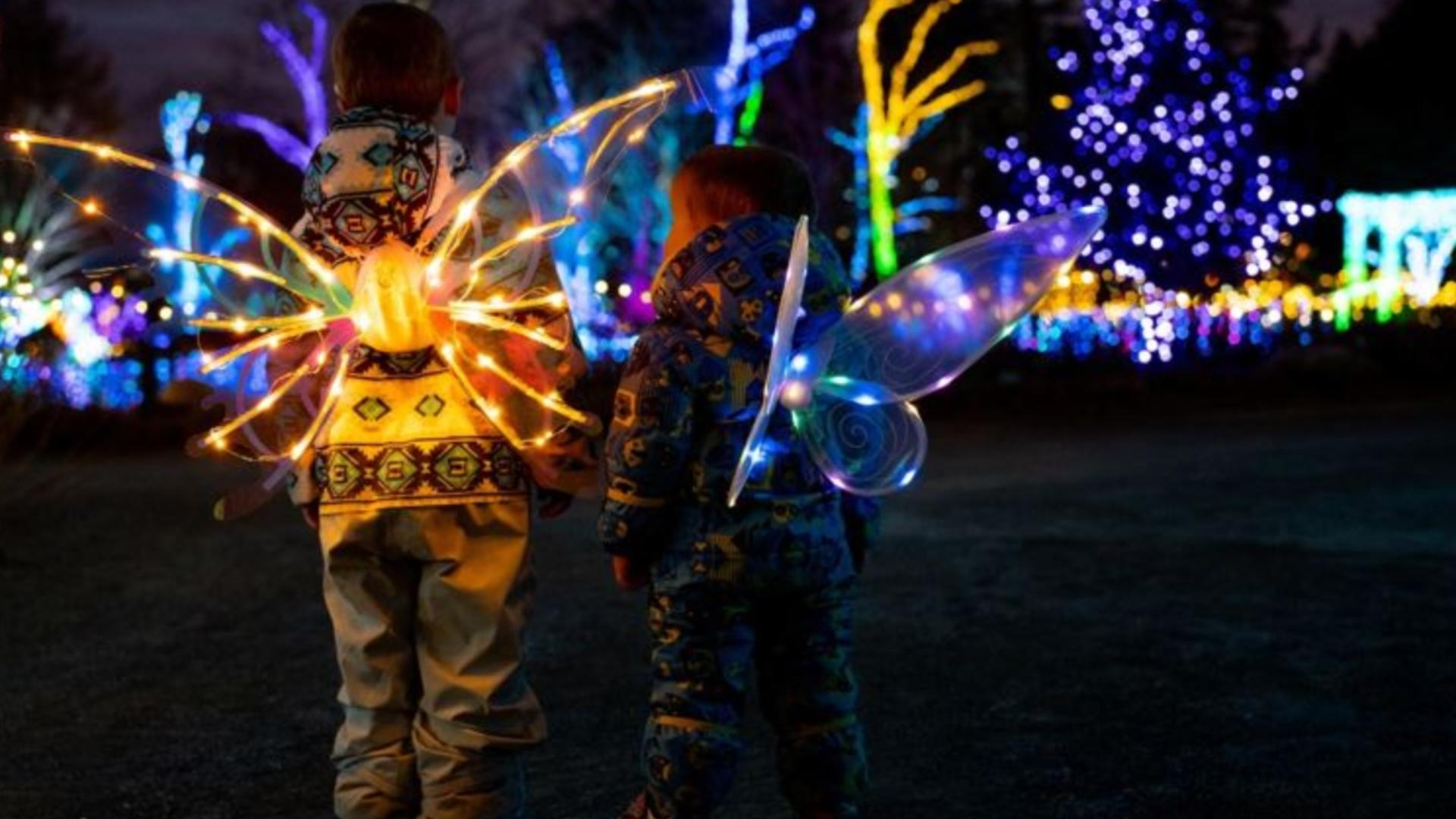 Jellyfish are popping up on several Maine beaches | newscentermaine.com