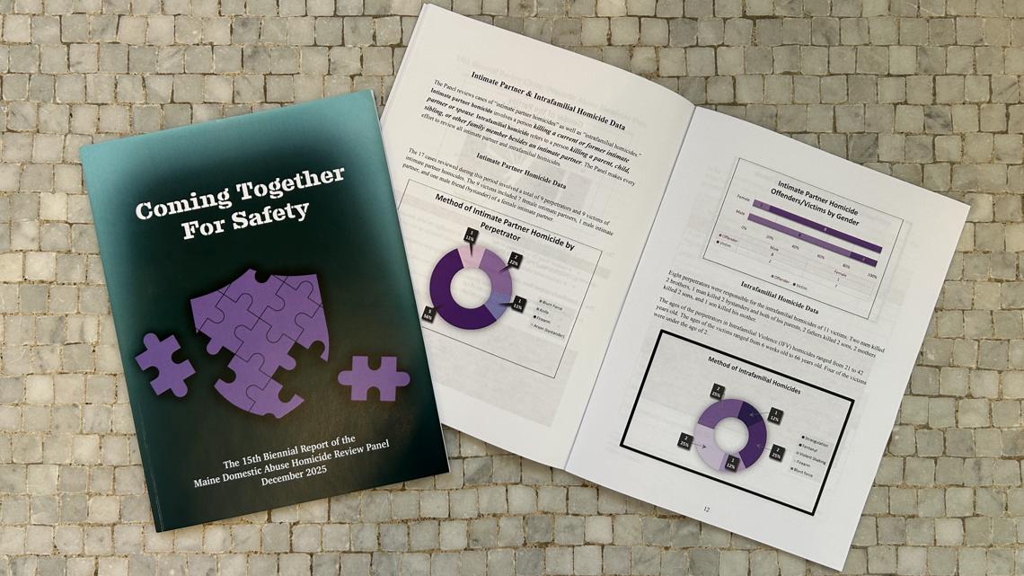 Latest Domestic Abuse Homicide report lays out recent progress and ...