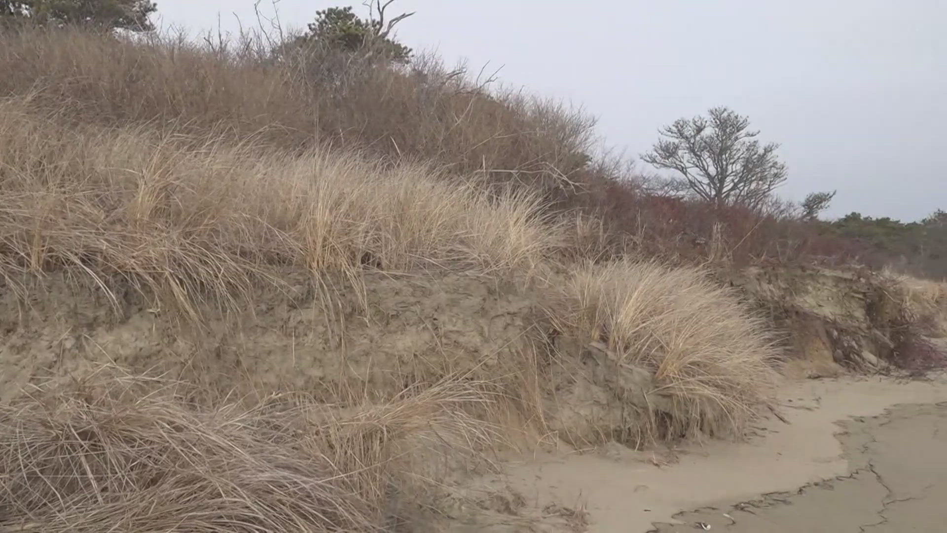 When is Martin Luther King Jr. Day in 2026? What to know about the ...