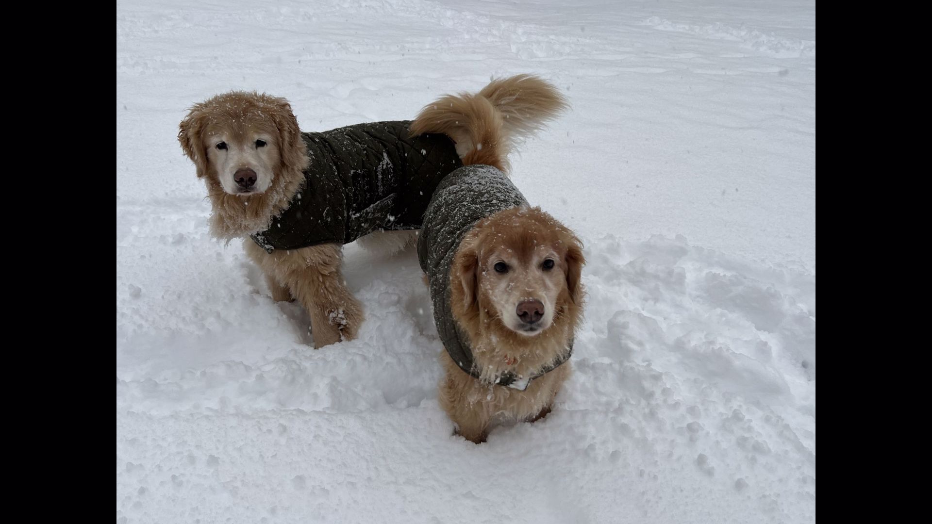 A look into snow seen across Maine today | newscentermaine.com