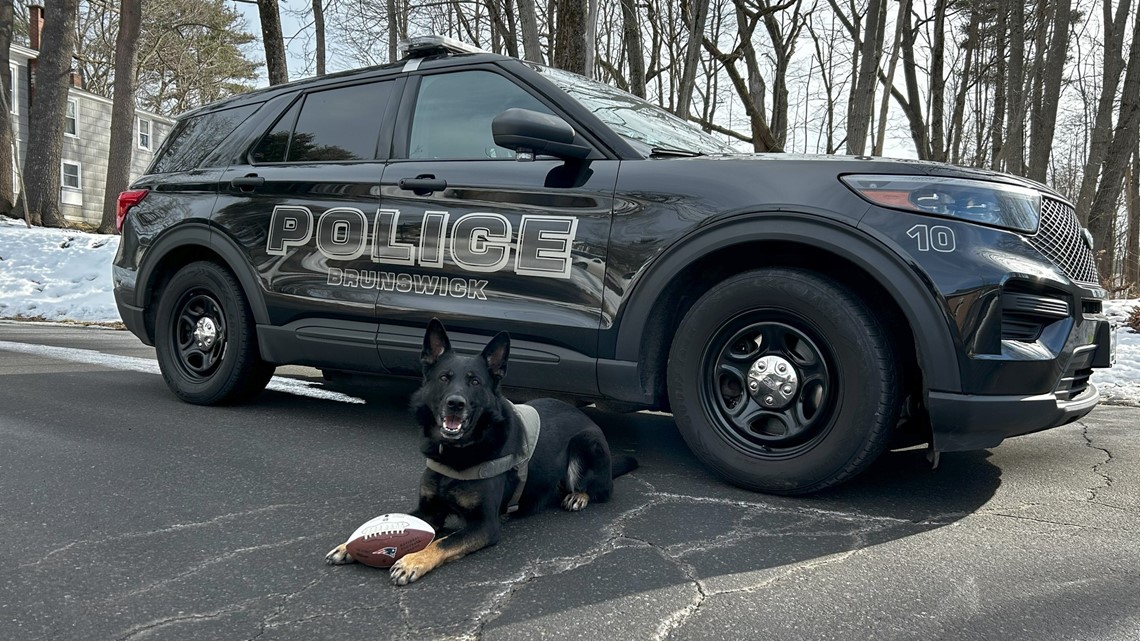 Taylor Swift inspires Brunswick police Super Bowl safety message ...