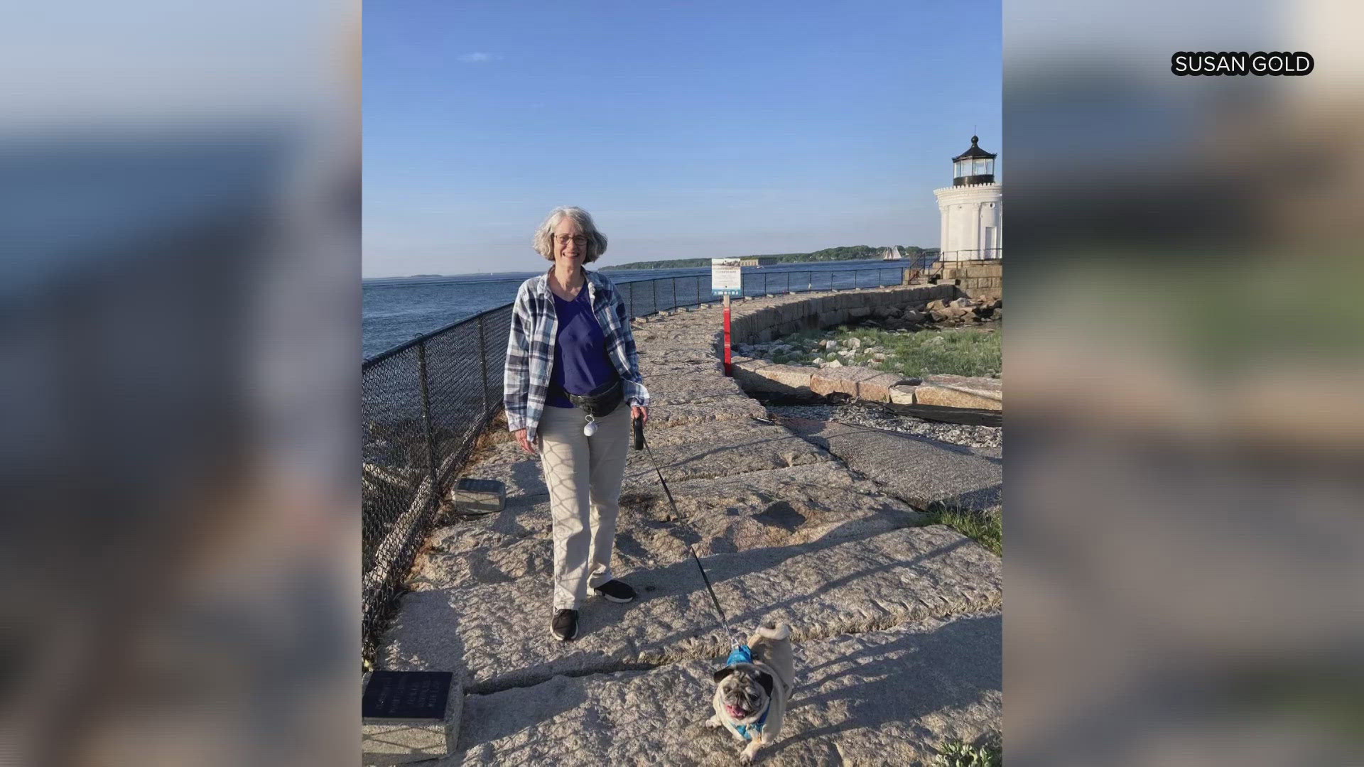 Saco, Maine woman grateful for blood donations that saved her life ...