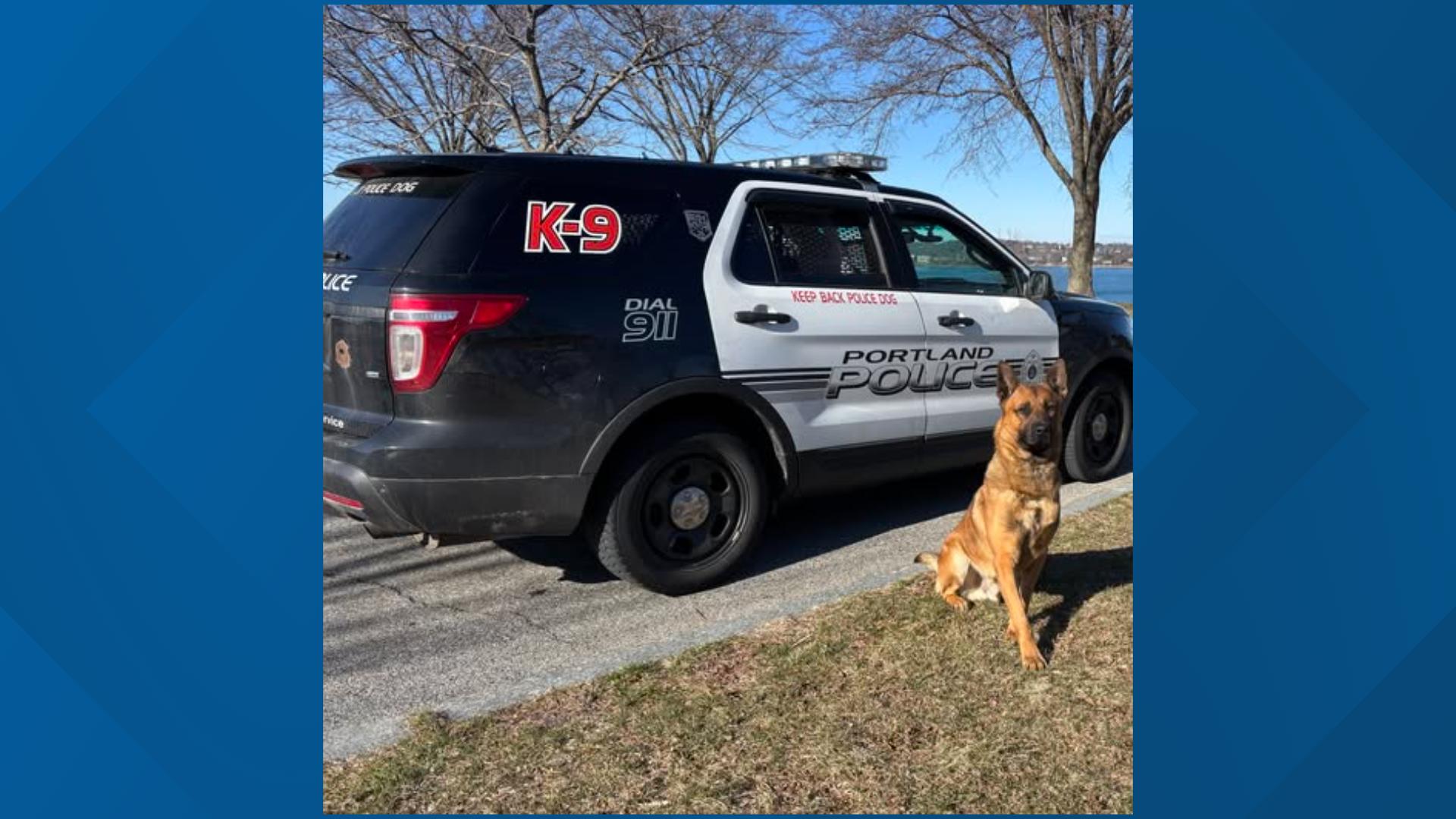 Non-profit to donate protective vest to Portland police dog ...