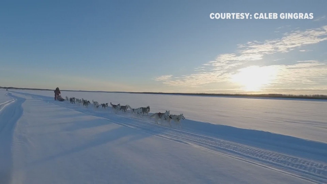 Maine musher about halfway through replication of historic trek in ...