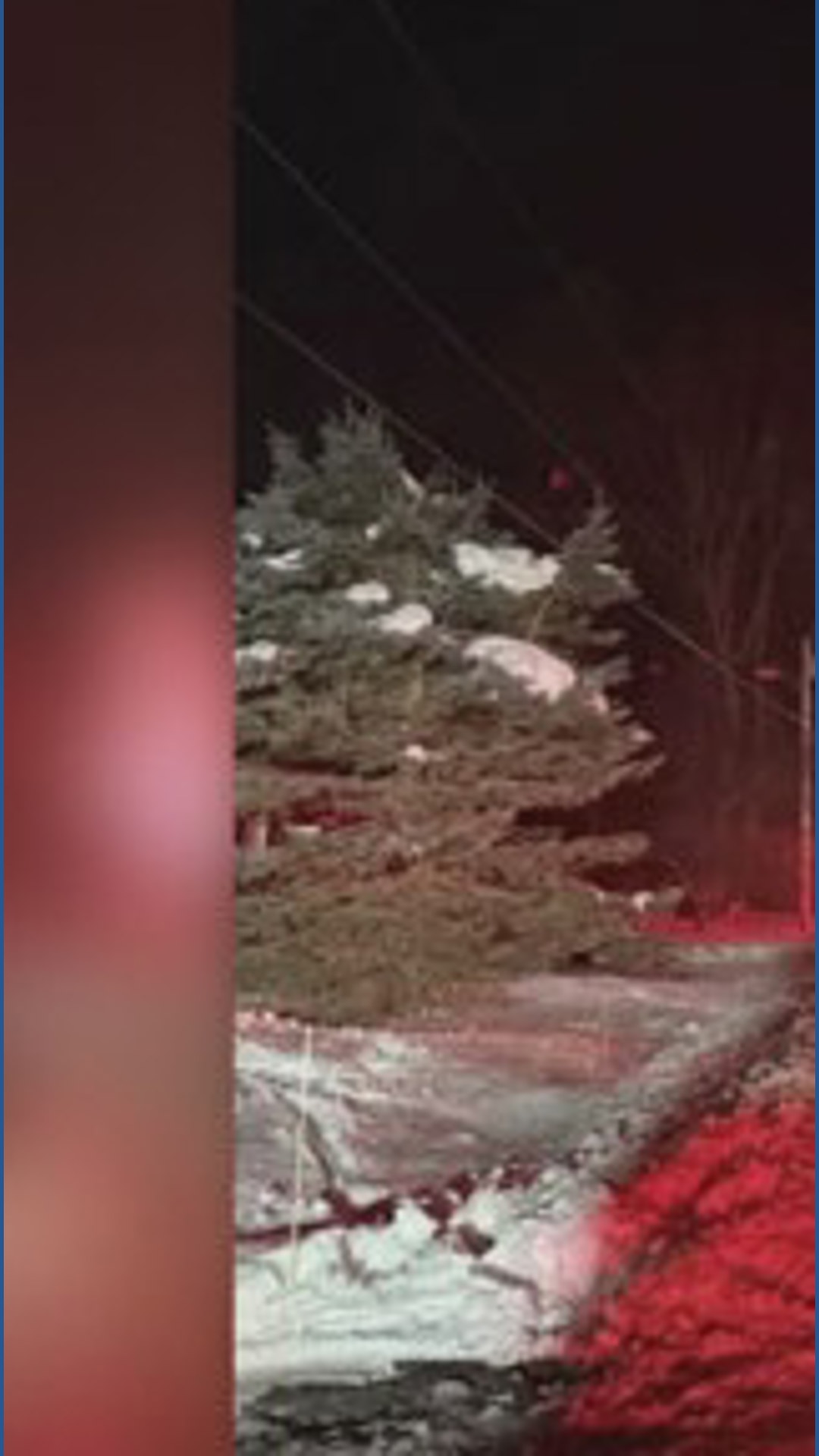 Three cats die in an accidental house fire in Winn, officials say ...