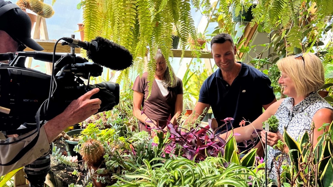 Horticultural Therapy uses gardening to help mental health ...