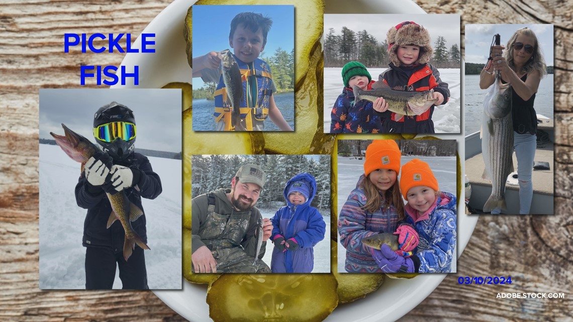 Big Ol' Fish: Pickle Fish | newscentermaine.com