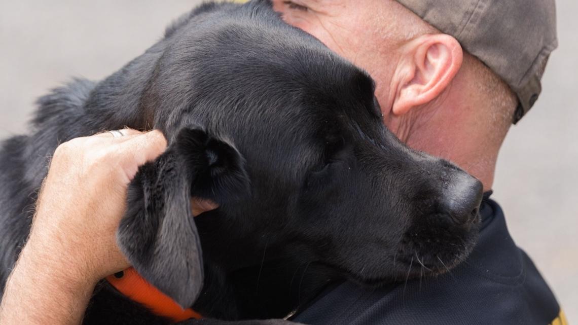 Ruby, retired Maine K9 dies at age 12 | newscentermaine.com