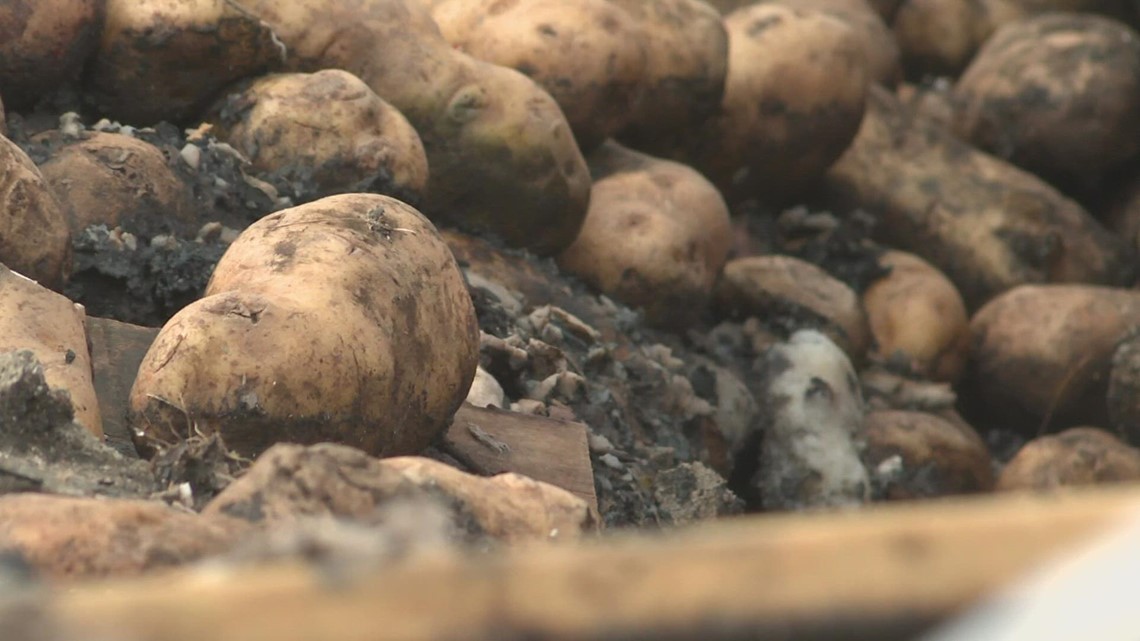 How to help Belfast's potato facility workers after fire ...